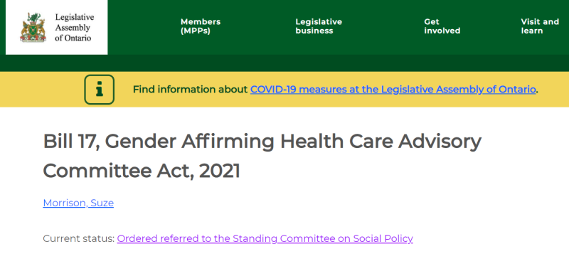 Ontario Bill 17 - Gender Affirming Health Care Advisory Committee Act ...