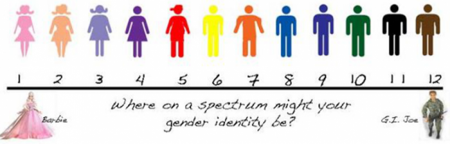 Transgender Ideology in Our Schools - Crossing the Line of Gender ...