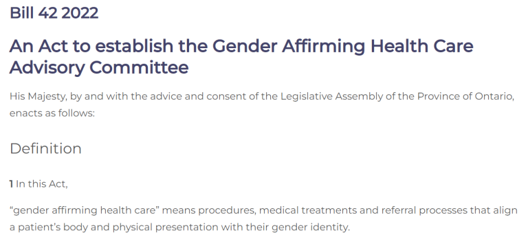 A letter to the Ontario Legislature re Bill 42 (Gender Affirming Health ...